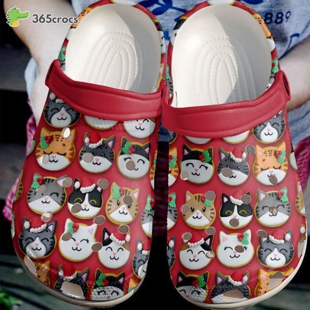 Cat Crocs - 365crocs